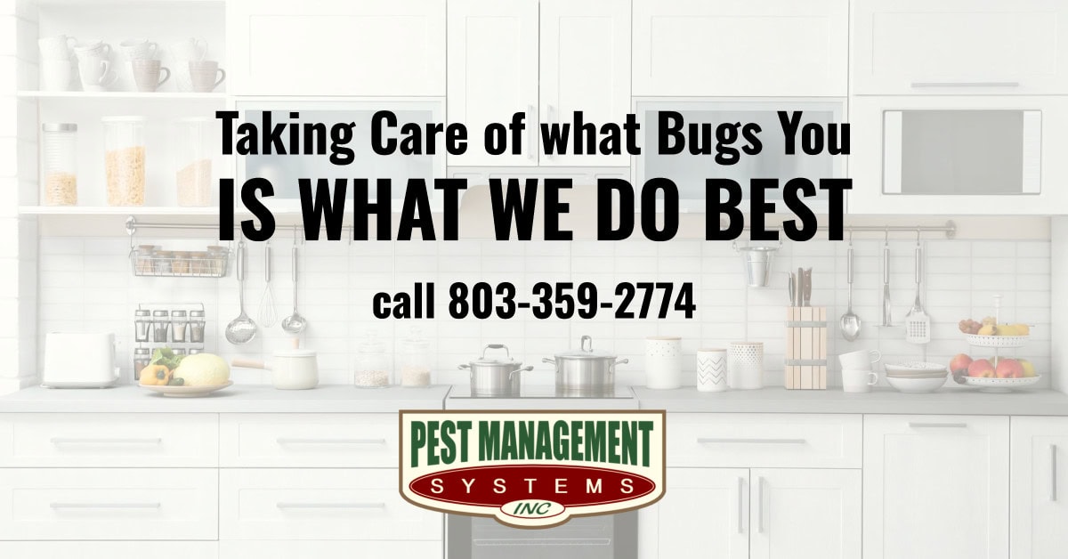 Locally Owned Pest Control Lexington SC - Guaranteed Service